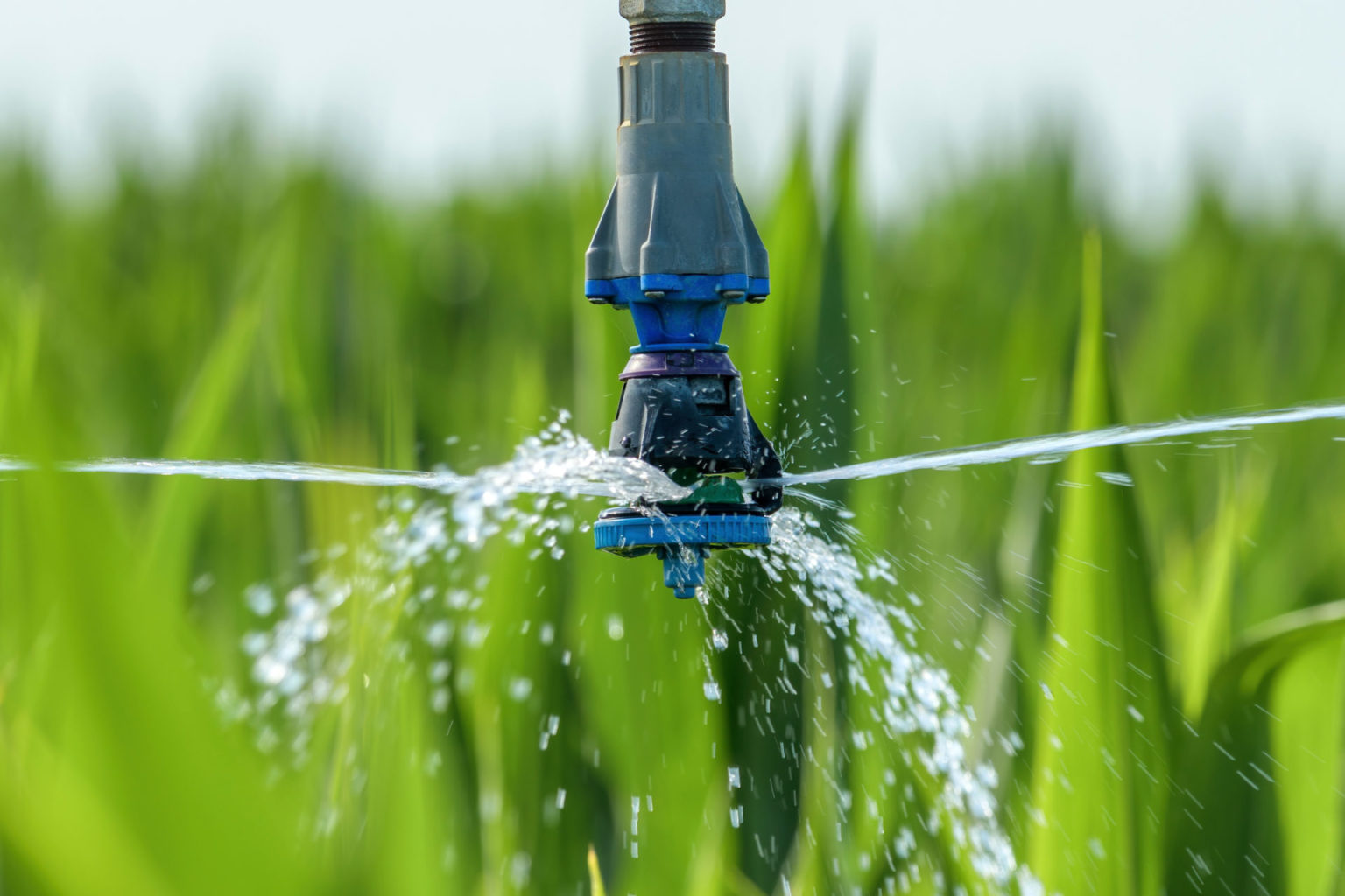 Better Irrigation | Quality Irrigation Products & Supplies